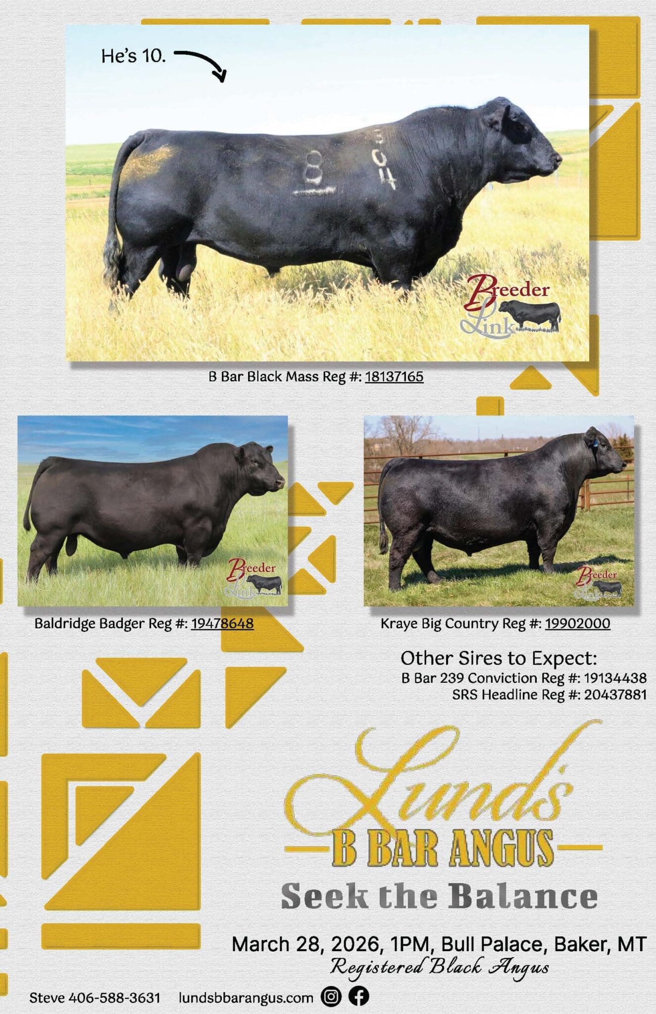 Featured Sales - Montana Stockgrowers Association