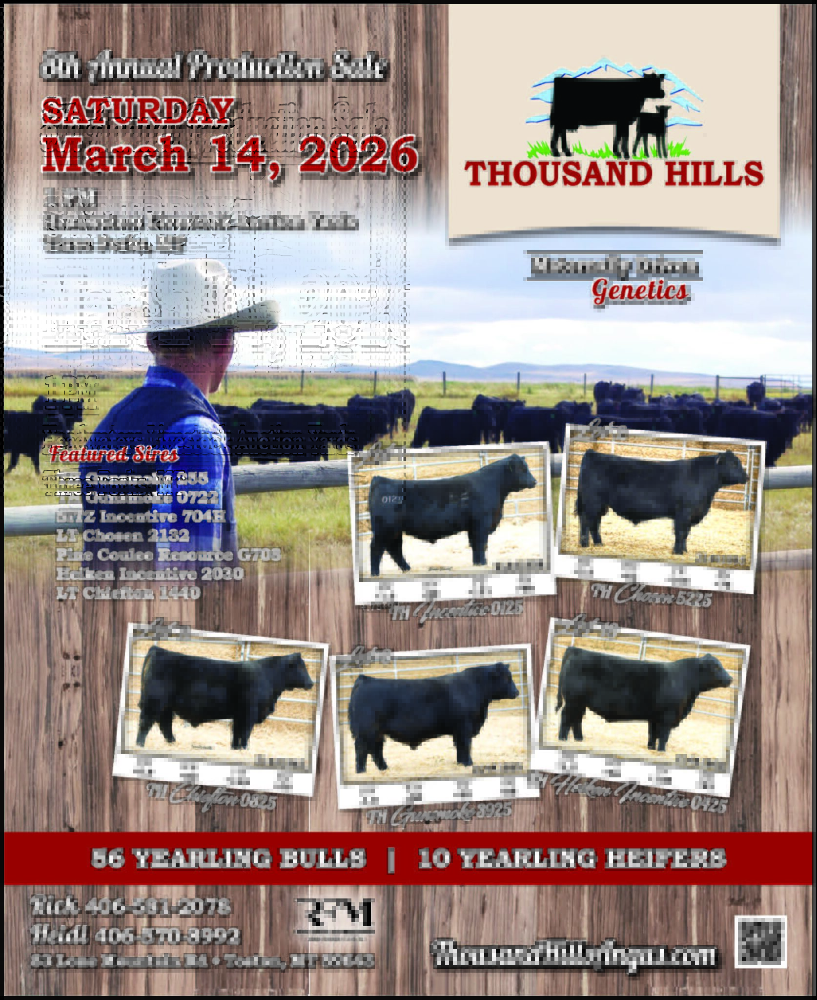 Featured Sales - Montana Stockgrowers Association